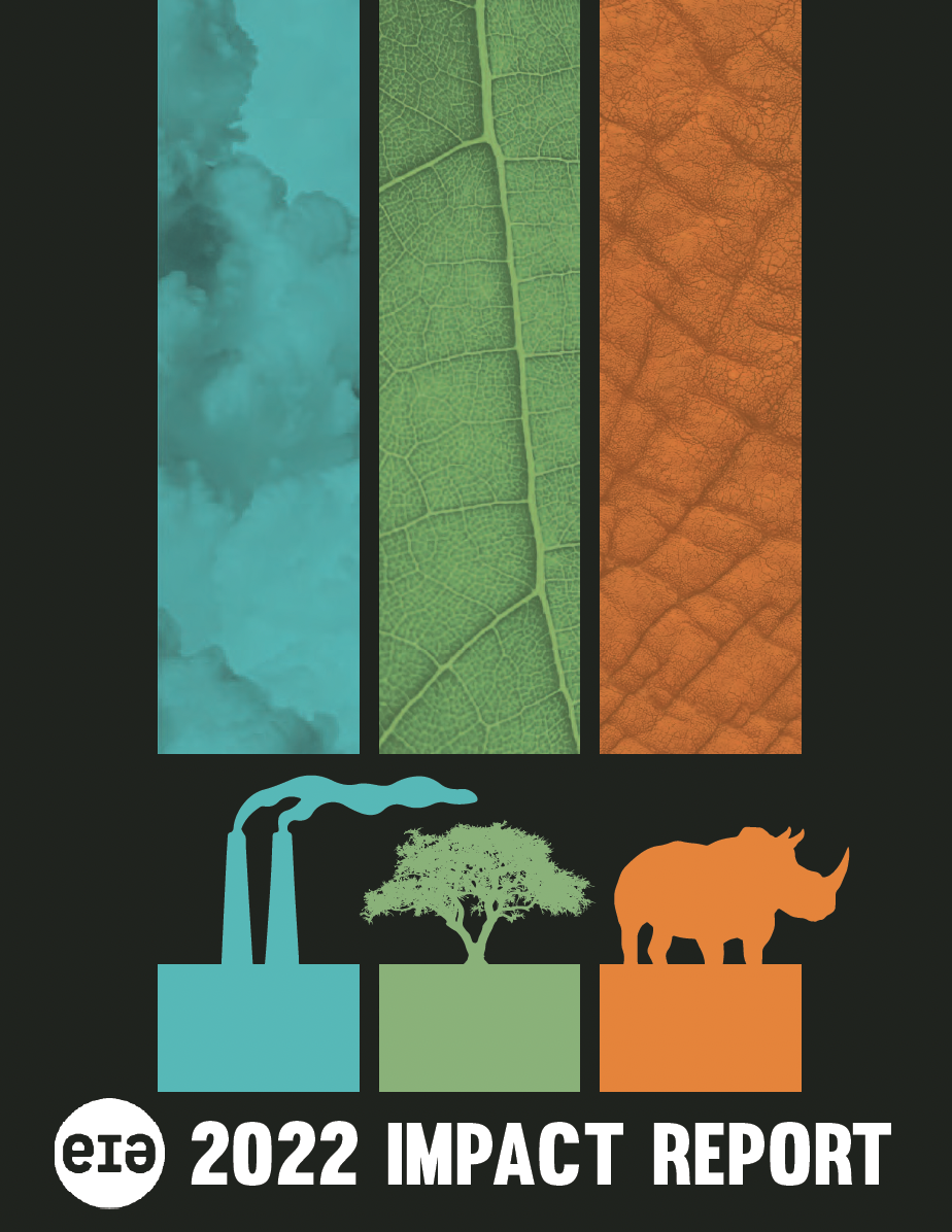 2022 Impact Report — EIA